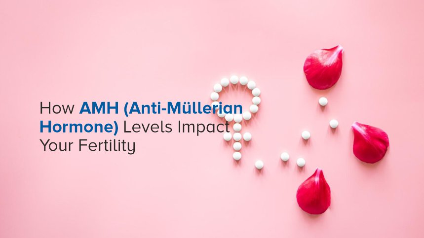 How AMH (Anti-Müllerian Hormone) Levels Impact Your Fertility