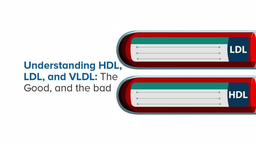 Understanding HDL, LDL & VLDL Cholesterol Levels
