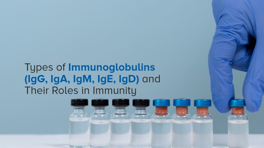 Types of Immunoglobulins (IgG, IgA, IgM, IgE, IgD) and Their Roles in ...