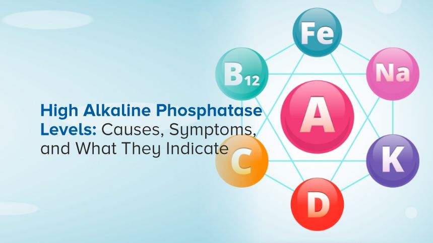 High Alkaline Phosphatase Levels: Causes, Symptoms, and What They Indicate