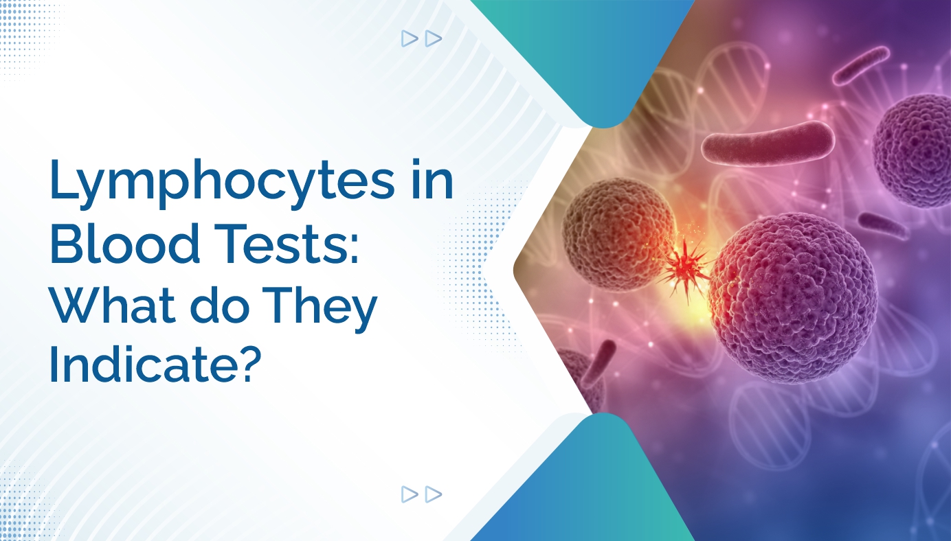 Lymphocytes in Blood Tests: What Do They Indicate?